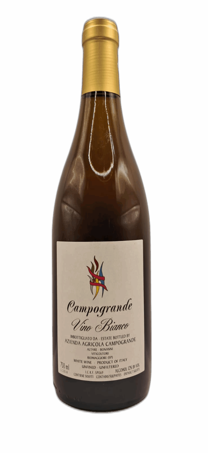 Elio Altare Vino Bianco - La Tana del Vino